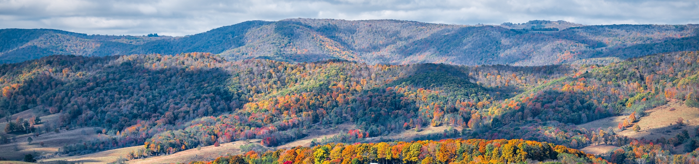 Contact Us - Patrick County Family Practice: Family Physicians: Stuart, VA
